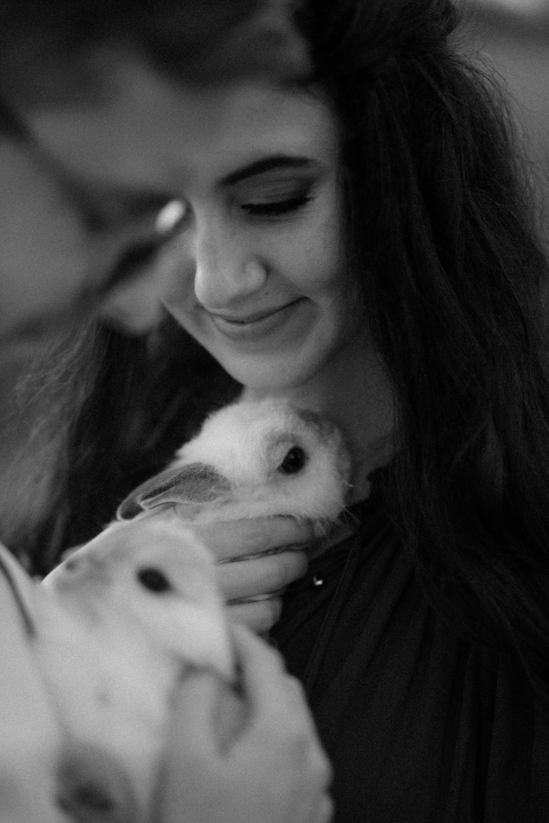 Golden afternoon Couples Portraits in Cape Town | idairvine.co.za